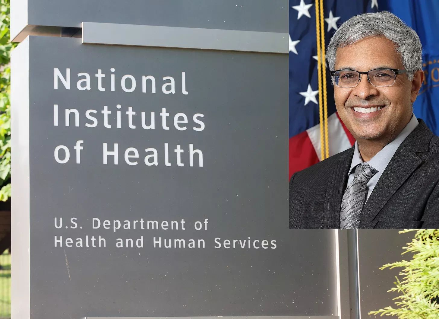 NIH Director Jay Bhattacharya Speaks to Academic Freedom — Heterodox ...