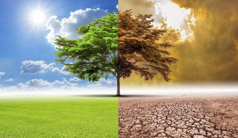 “Splitting” and Identity Politics - Heterodox Academy