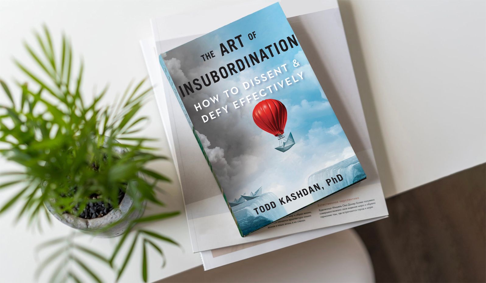 The Art of Insubordination: Designing Smarter, Wiser Groups