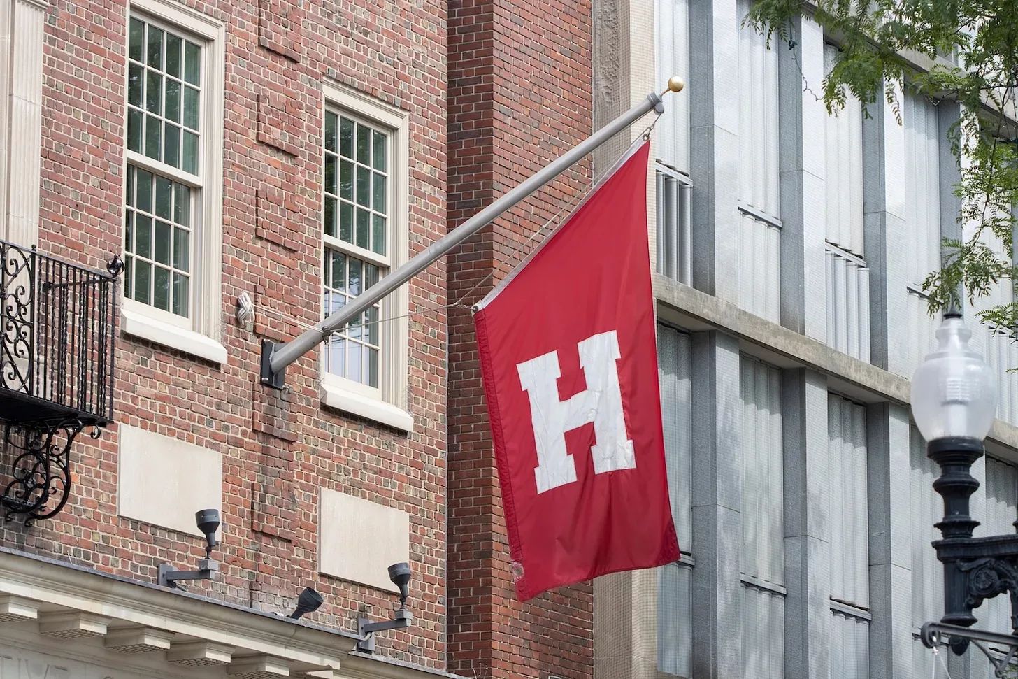 Harvard Opens a Window — Heterodox Academy