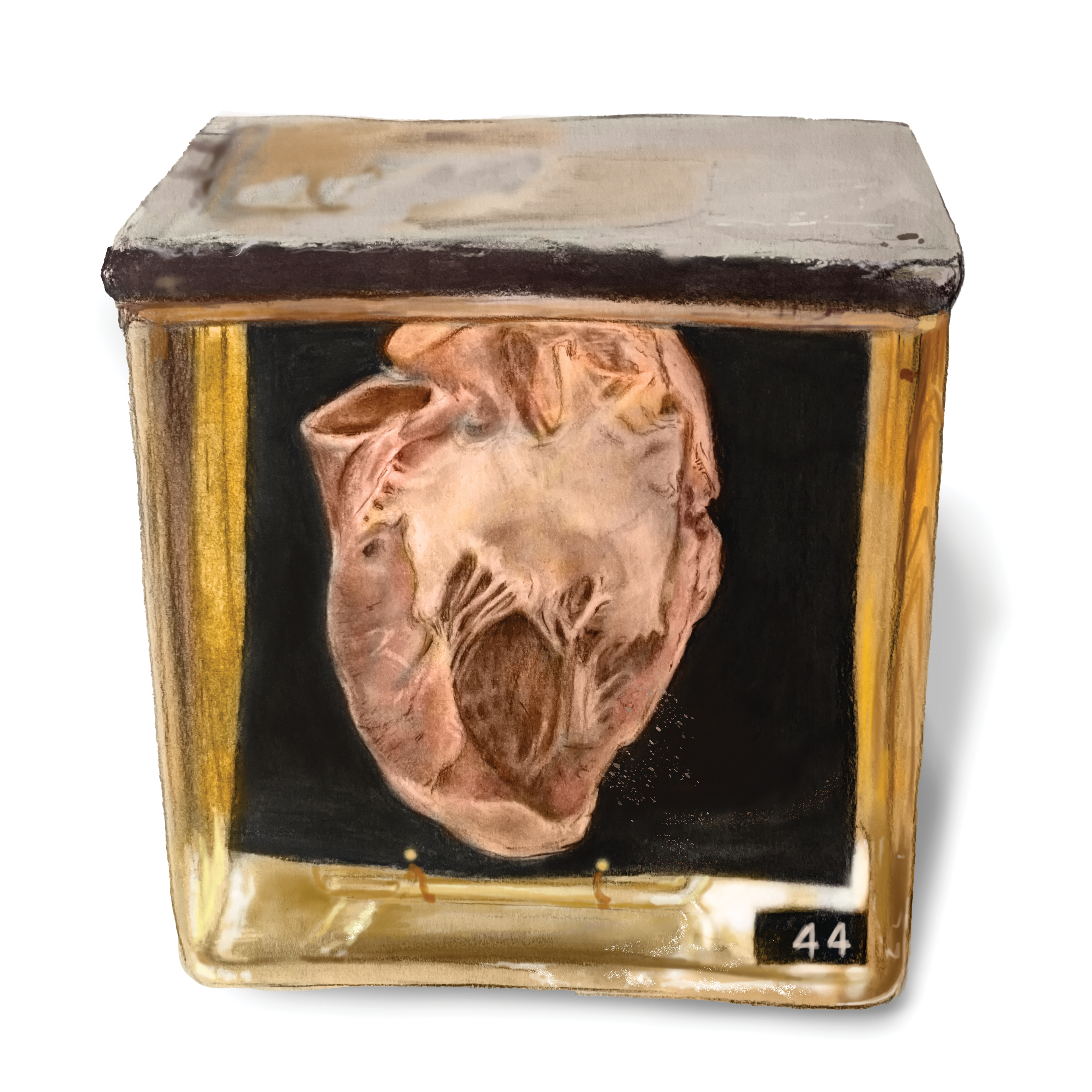 Endangered Specimens, Unaccountable Objects — Inquisitive